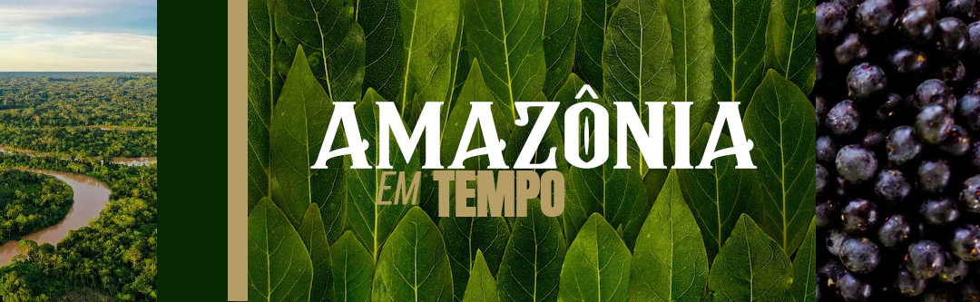 Arquivo de Amazônia em Tempo - Amazônia+ TV