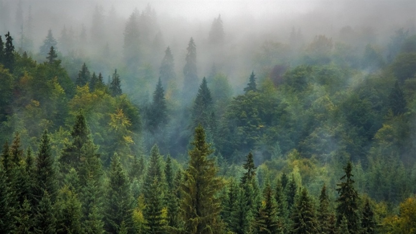 Início - Amazônia+ TV
